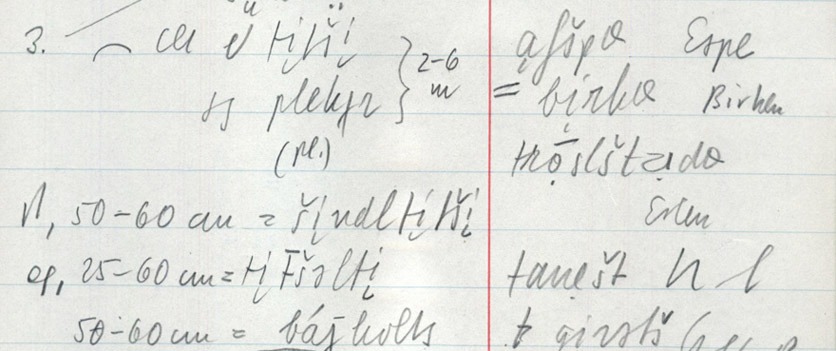 Stenografie-Kundige gesucht - Zeitlupe Magazin Seniorinnen und Senioren